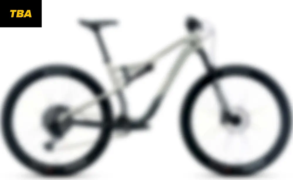 2024 Ari Signal Peak Team – Specs, Comparisons, Reviews – 99 Spokes