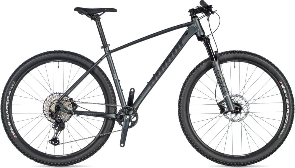 2020 Author Orion 29 – Specs, Comparisons, Reviews – 99 Spokes