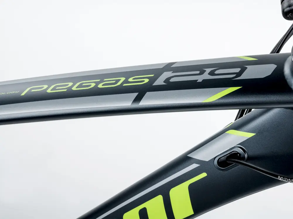 2024 Author Pegas 29 – Specs, Comparisons, Reviews – 99 Spokes