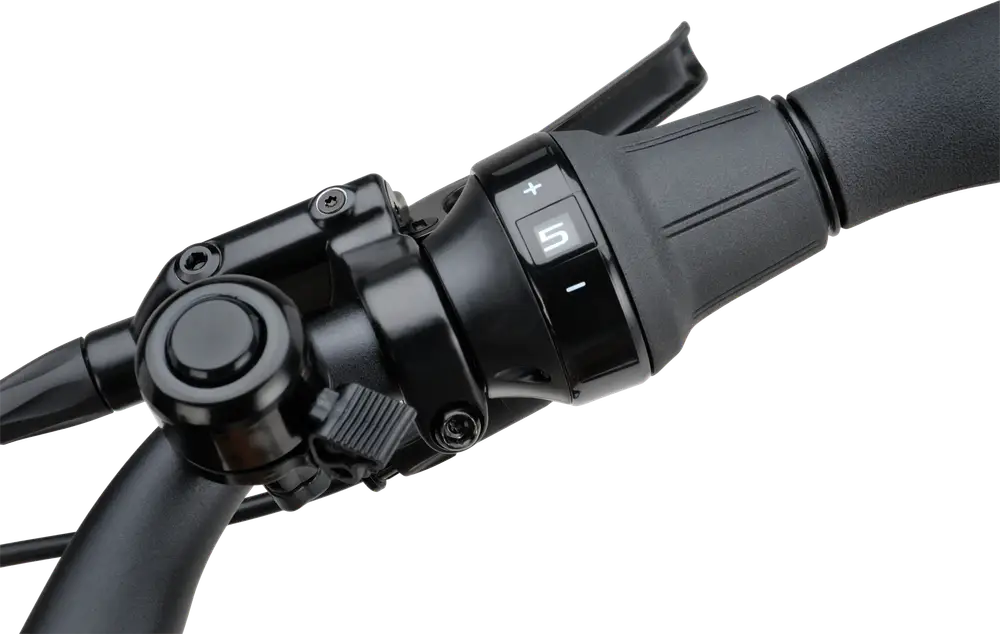 2024 Batavus Altura E-go Power Pro BES2 – Specs, Comparisons, Reviews ...