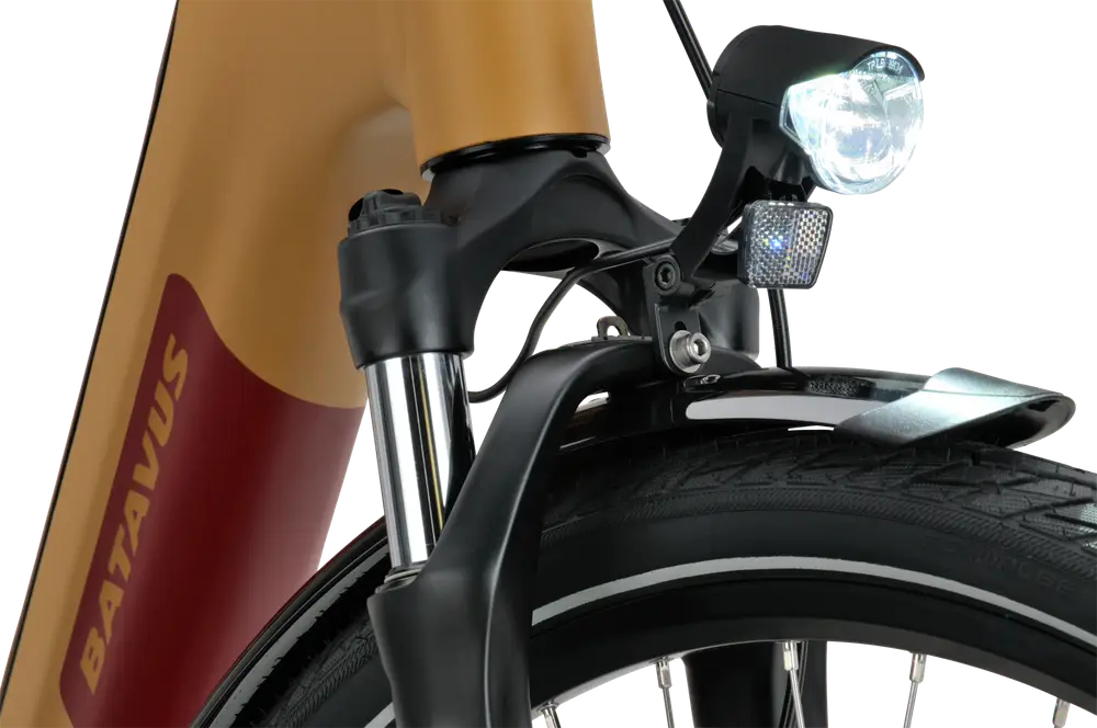 2024 Batavus Altura E-go Power Pro BES2 – Specs, Comparisons, Reviews ...