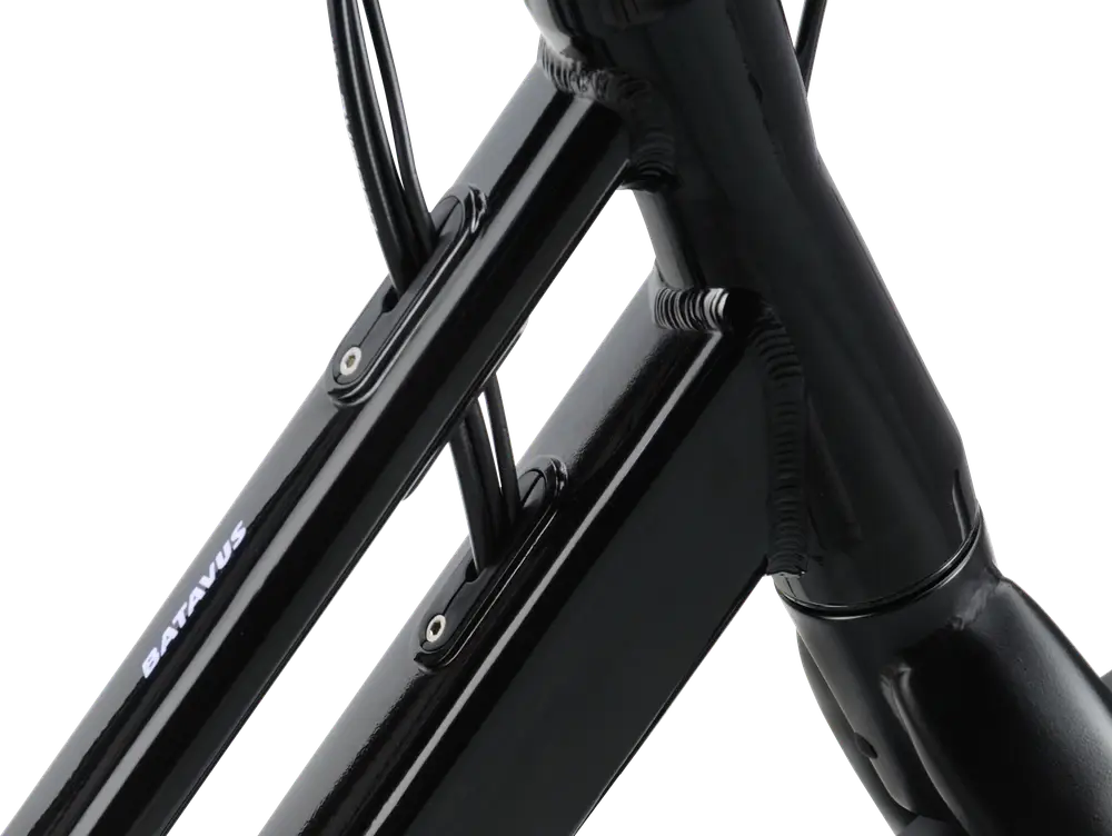 2024 Batavus Fonk 3 – Specs, Comparisons, Reviews – 99 Spokes