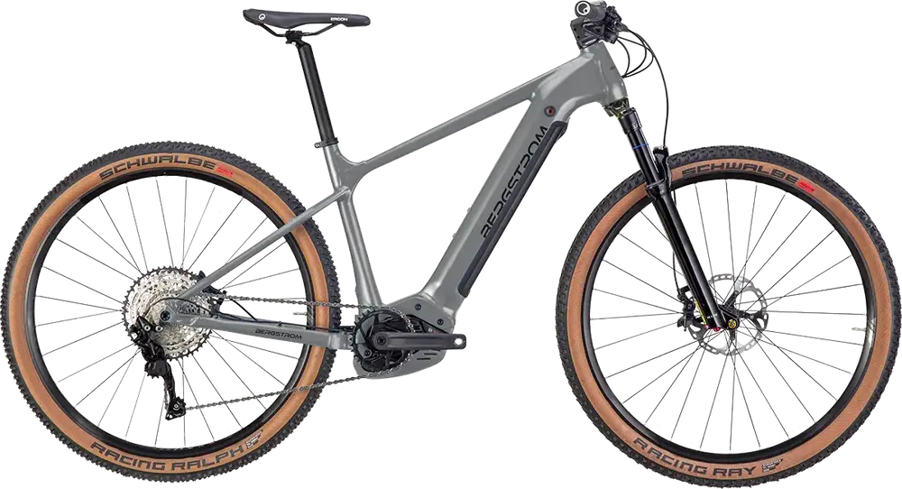 2023 Bergstrom XCV 729 – Specs, Comparisons, Reviews – 99 Spokes