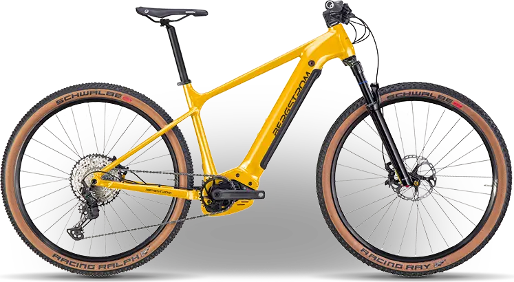 2023 Bergstrom XCV 749 – Specs, Comparisons, Reviews – 99 Spokes