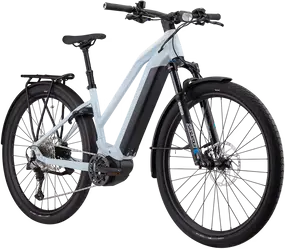 2024 BiXS Access-E10 Gor – Specs, Comparisons, Reviews – 99 Spokes