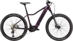 2024 BiXS Mariposa-E12 – Specs, Comparisons, Reviews – 99 Spokes