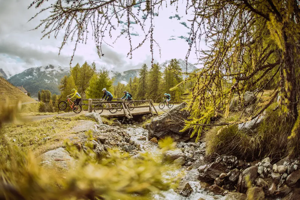 2022 Bold Linkin Trail Classic Shimano XTR 12-Speed – Specs ...