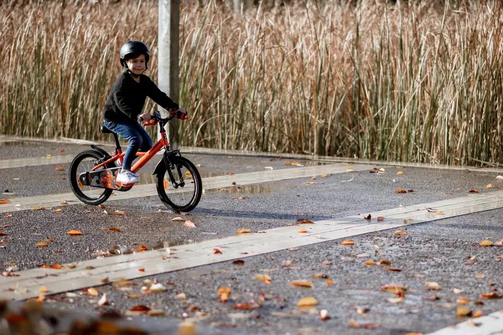 2023 B’TWIN Kids' 16-inch, chain guard, easy-braking bike – Specifiche ...