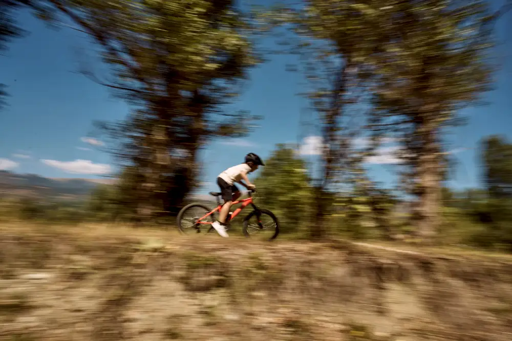 2024 B’TWIN Kids' 20" 6-9 Years Mountain Bike Expl 500 – Specs ...