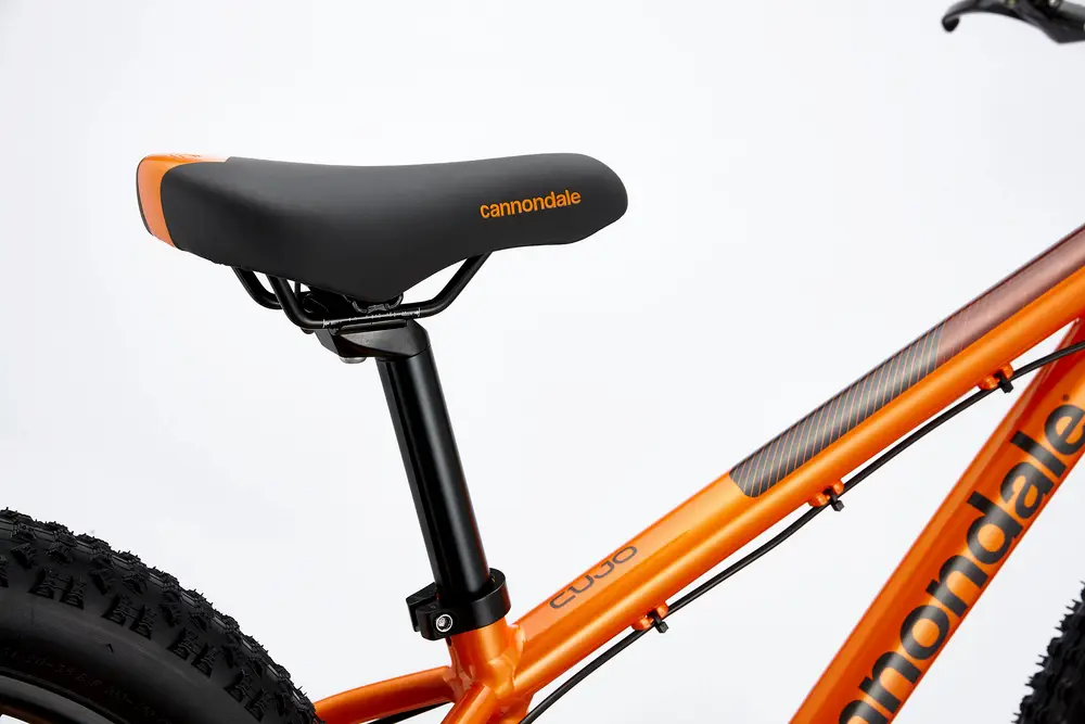 2020 Cannondale Kids Cujo 20 – Specs, Comparisons, Reviews – 99 Spokes