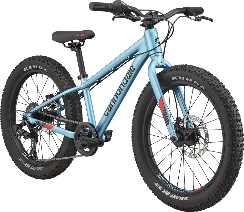 2021 Cannondale Kids Cujo 20+ – Specs, Comparisons, Reviews – 99 Spokes