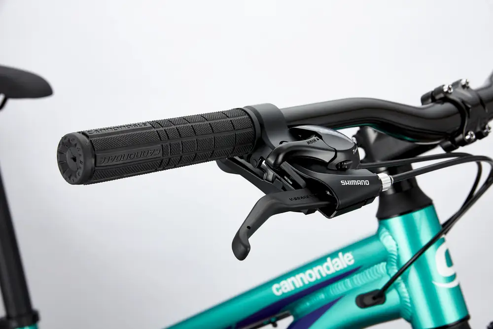 2022 Cannondale Tango 6 – Specs, Comparisons, Reviews – 99 Spokes