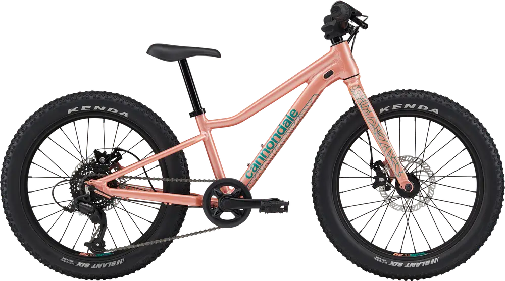 2024 Cannondale Kids Trail Plus 20 – Specs, Comparisons, Reviews – 99 ...