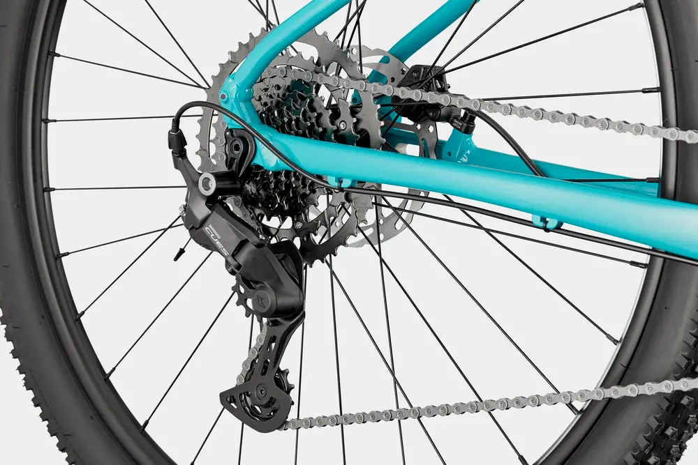 2025 Cannondale Trail 2 – Specs, Comparisons, Reviews – 99 Spokes