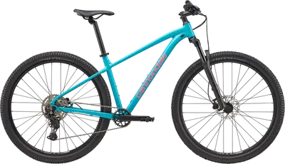 Compare: 2025 Cannondale Trail 2 vs 2026 Specialized Rockhopper Comp vs ...