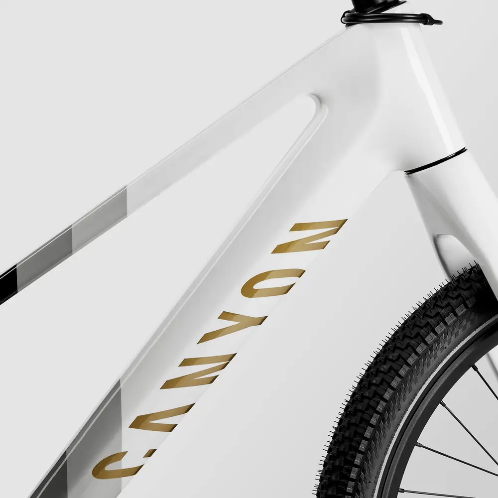 2023 Canyon Stitched CFR Trial – Specs, Comparisons, Reviews – 99 Spokes