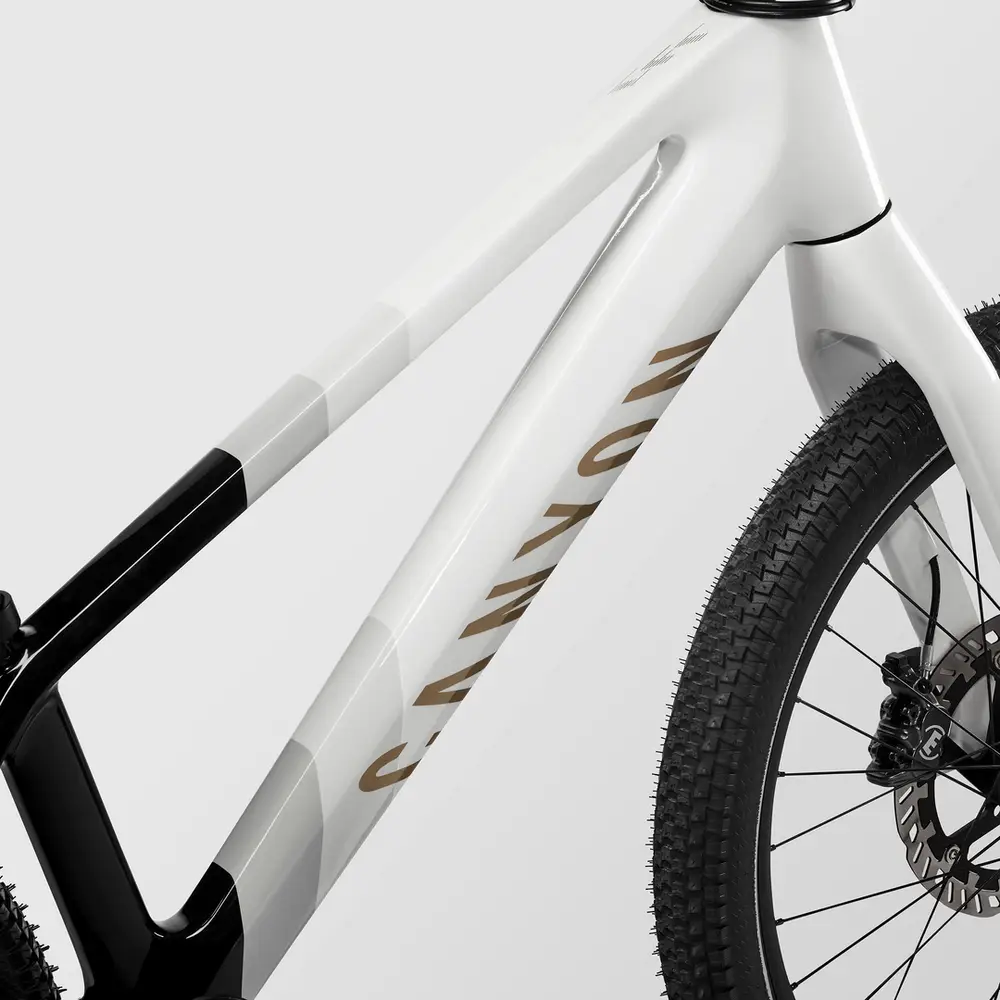 2023 Canyon Stitched CFR Trial – Specs, Comparisons, Reviews – 99 Spokes