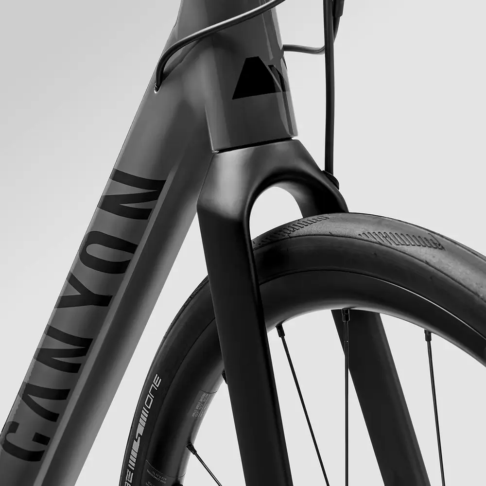 2024 Canyon Endurace 6 RAW – Specs, Comparisons, Reviews – 99 Spokes