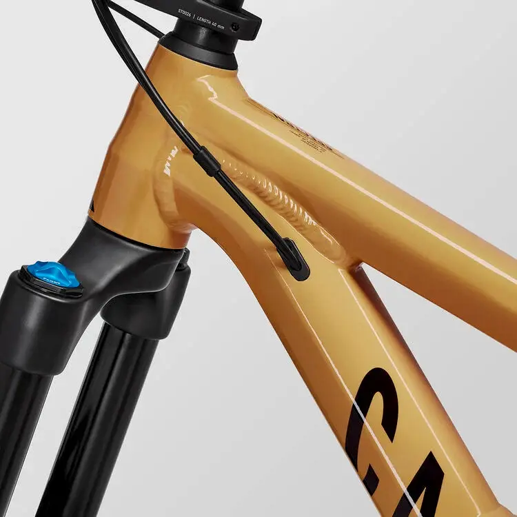 2024 Canyon Spectral 6 – Specs, Comparisons, Reviews – 99 Spokes