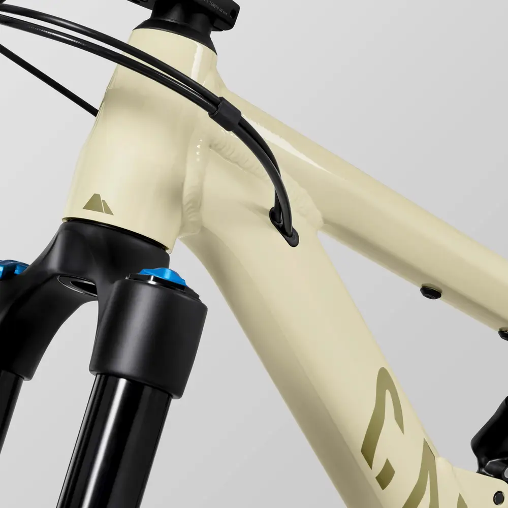 2025 Canyon Torque 5 – Specs, Comparisons, Reviews – 99 Spokes