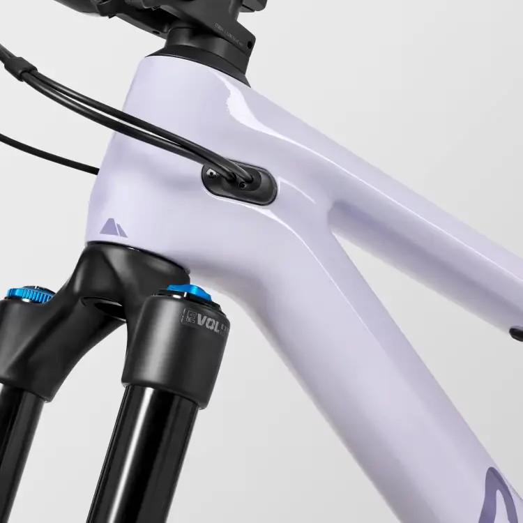 2025 Canyon Torque CF 8 – Specs, Comparisons, Reviews – 99 Spokes