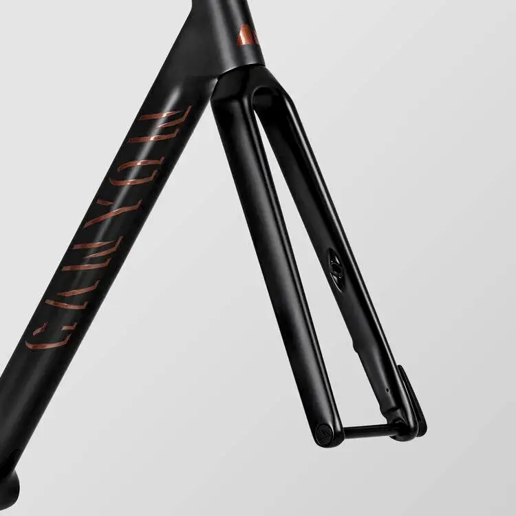 2025 Canyon Ultimate CFR Frameset – Specs, Comparisons, Reviews – 99 Spokes