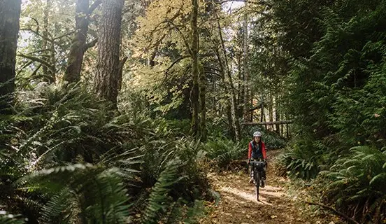 2020 Co-op ADV 3.1 – Specs, Comparisons, Reviews – 99 Spokes