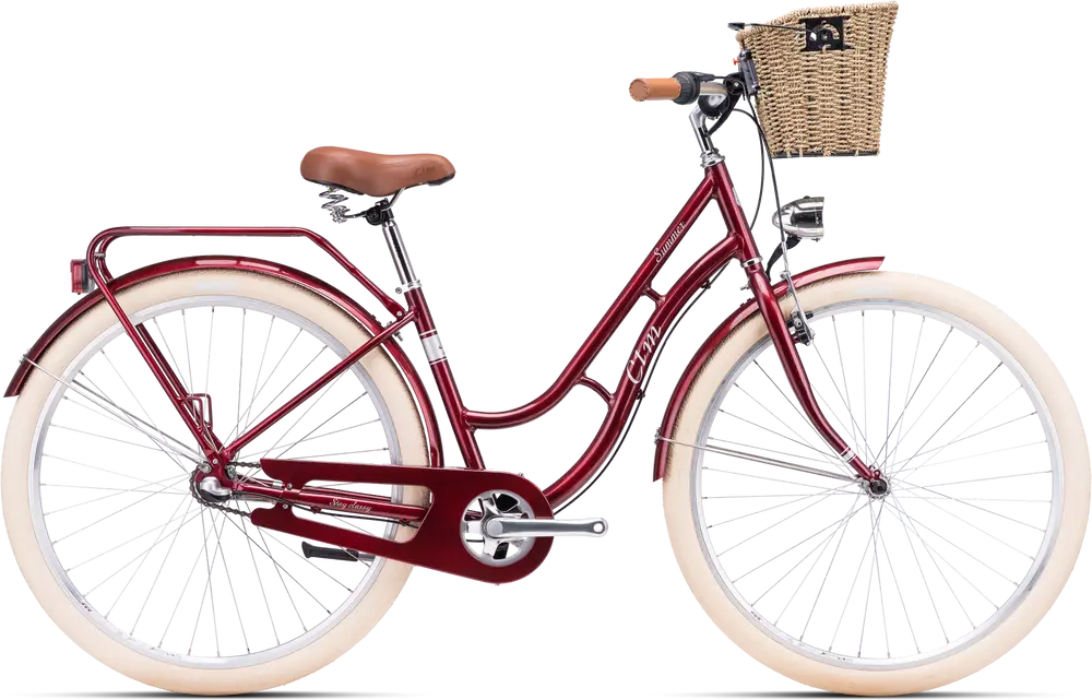 2022 CTM SUMMER 28" – Specs, Comparisons, Reviews – 99 Spokes