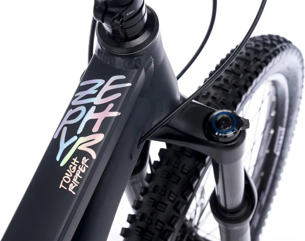 2022 CTM ZEPHYR PRO – Specs, Comparisons, Reviews – 99 Spokes