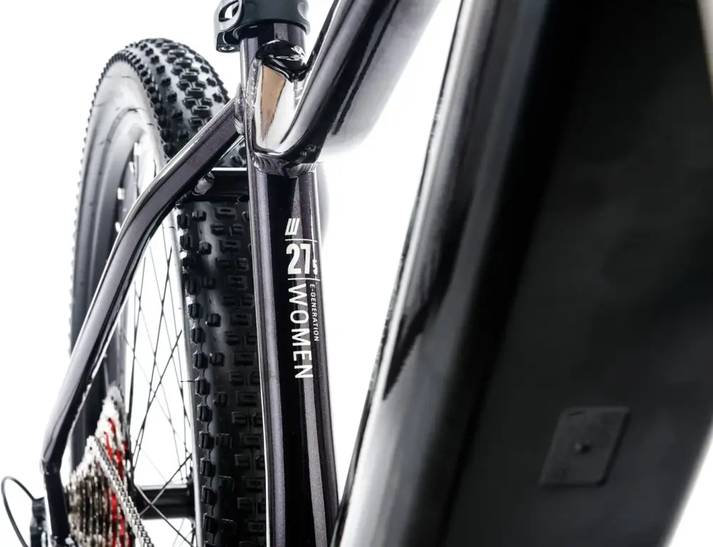 2023 CTM RUBY PRO – Specs, Comparisons, Reviews – 99 Spokes