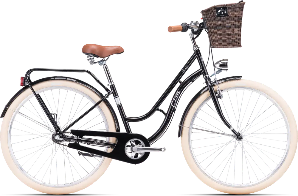 2024 CTM FIORE 28" – Specs, Comparisons, Reviews – 99 Spokes