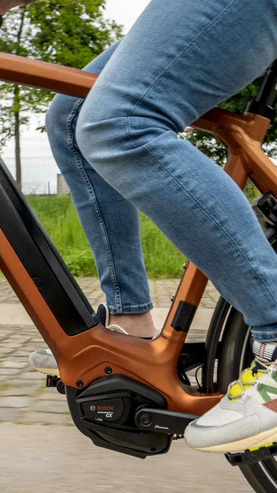 2024 Dutch ID Phantom S75+ – Specs, Comparisons, Reviews – 99 Spokes