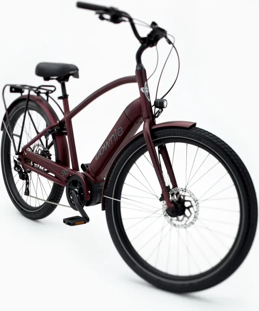2022 Electra Townie Path Go! 10D EQ Step-Over – Specs, Comparisons ...