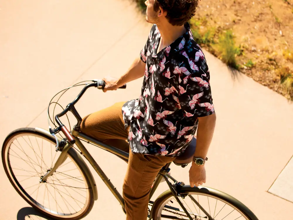 2025 Electra Loft 7D Men's – Specs, Comparisons, Reviews – 99 Spokes