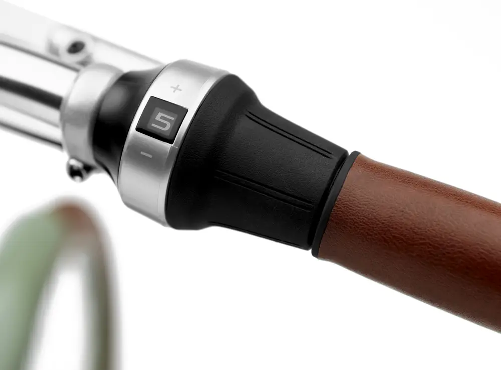 2025 Electra Townie Go! 5i EQ Step-Thru – Specs, Comparisons, Reviews ...