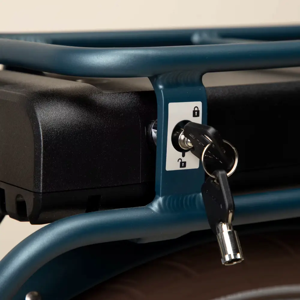 2025 ELOPS Smart Electric City Bike 920 E Connect HF – Specs ...