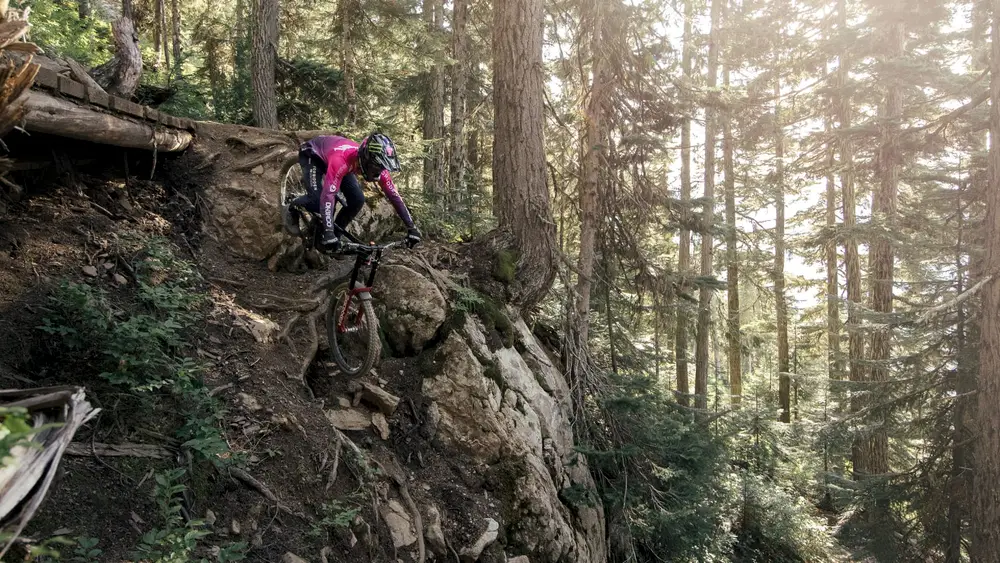 2024 Forbidden Supernought 29" Framekit – Specs, Comparisons, Reviews – 99 Spokes