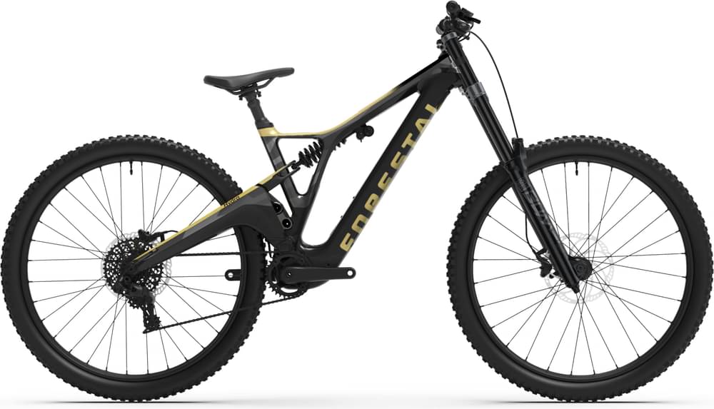 2022 Forestal Hydra Halo – Specs, Comparisons, Reviews – 99 Spokes