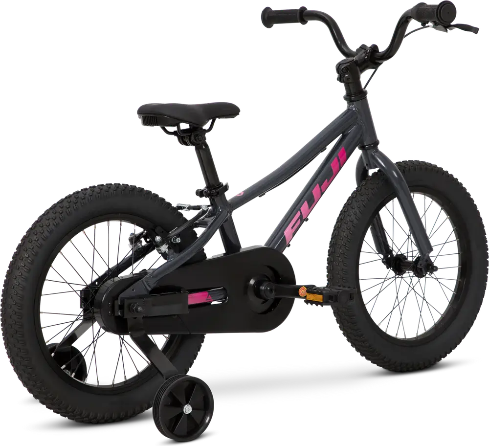 2024 Fuji Dynamite 16 Coaster – Specs, Comparisons, Reviews – 99 Spokes