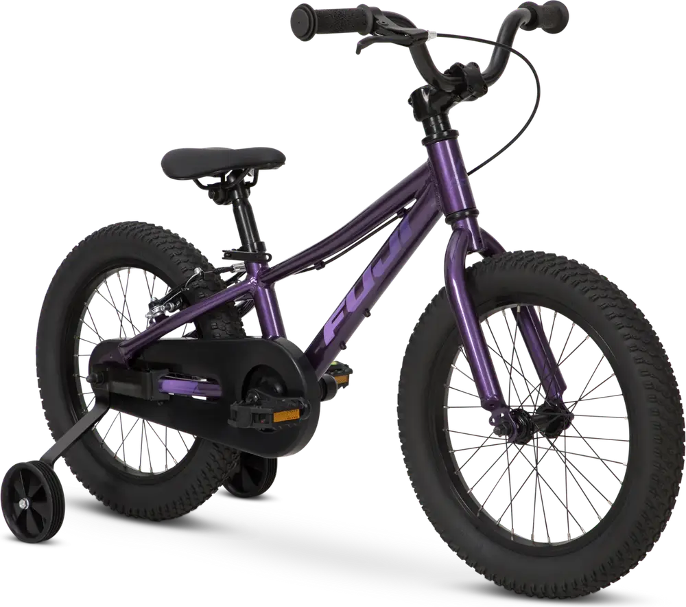 2024 Fuji Dynamite 16 Coaster – Specs, Comparisons, Reviews – 99 Spokes