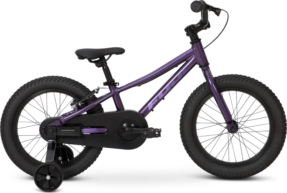 2025 Fuji Dynamite 16 Coaster – Specs, Comparisons, Reviews – 99 Spokes