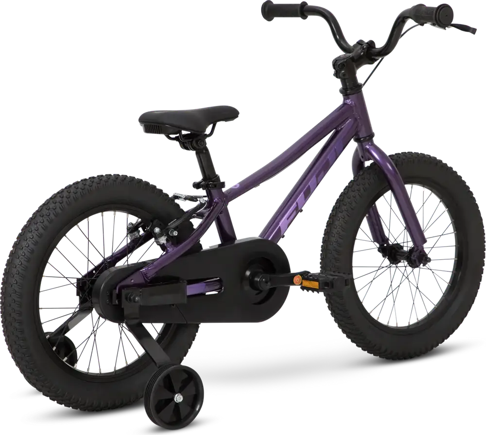 2025 Fuji Dynamite 16 Coaster – Specs, Comparisons, Reviews – 99 Spokes