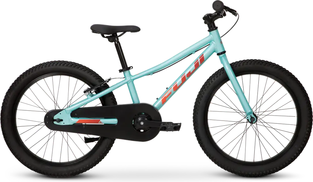 2025 Fuji Dynamite 20 Coaster – Specs, Comparisons, Reviews – 99 Spokes