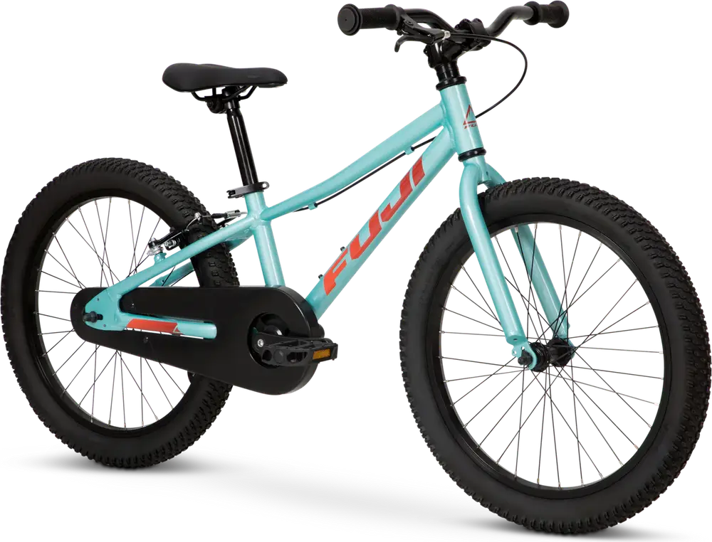 2025 Fuji Dynamite 20 Coaster – Specs, Comparisons, Reviews – 99 Spokes
