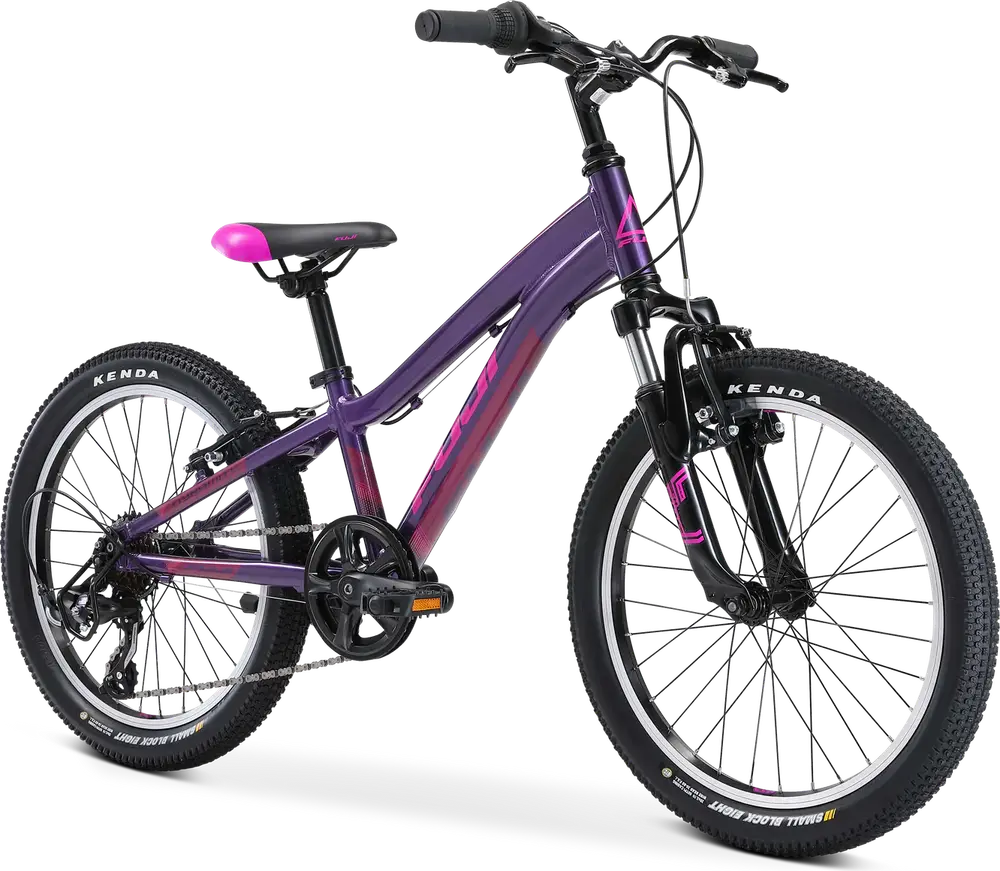 2025 Fuji Dynamite 20 – Specs, Comparisons, Reviews – 99 Spokes