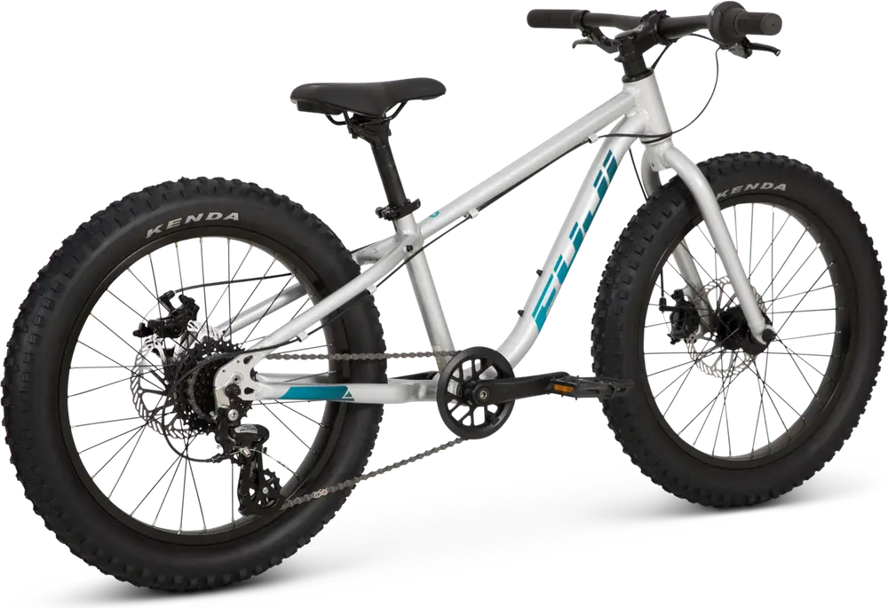 2025 Fuji Dynamite 20+ – Specs, Comparisons, Reviews – 99 Spokes