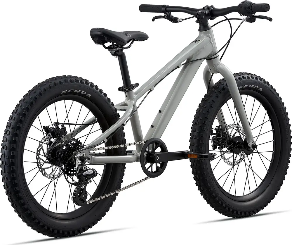 2021 Giant STP 20 – Specs, Comparisons, Reviews – 99 Spokes
