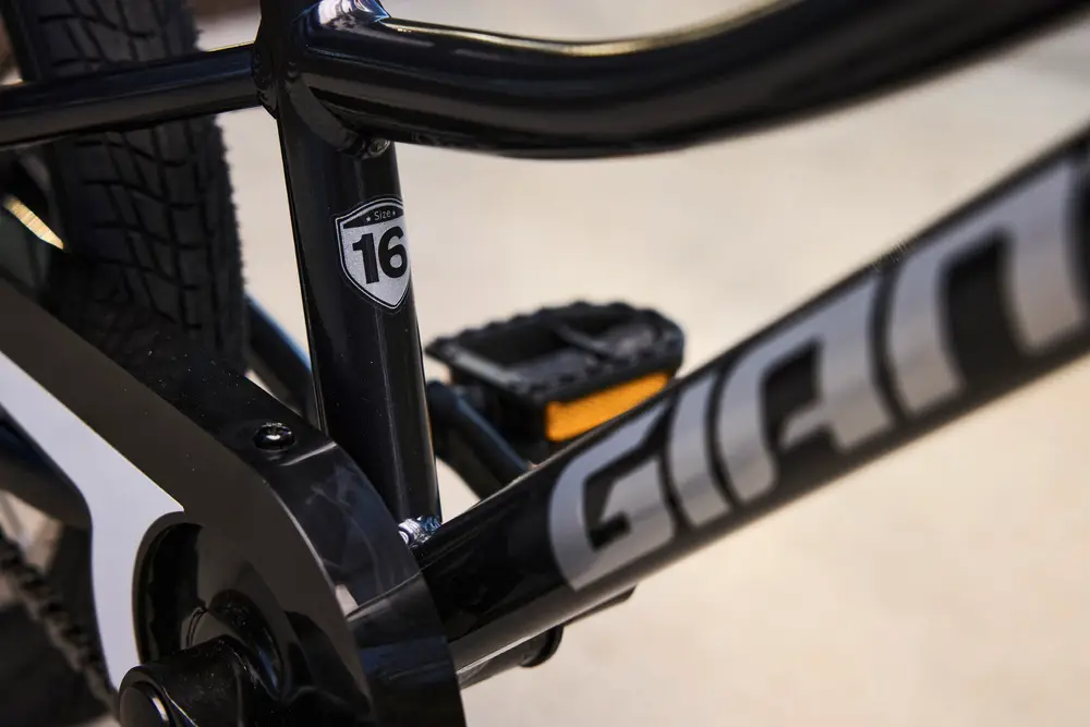 2024 Giant Animator C/B 16 – Specs, Comparisons, Reviews – 99 Spokes