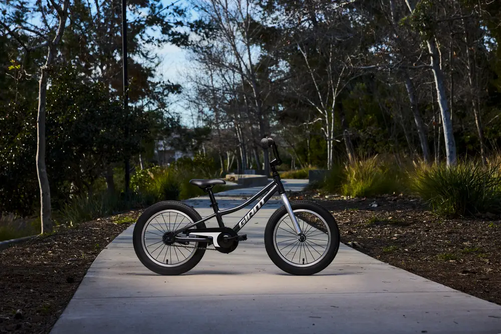 2024 Giant Animator C/B 16 – Specs, Comparisons, Reviews – 99 Spokes