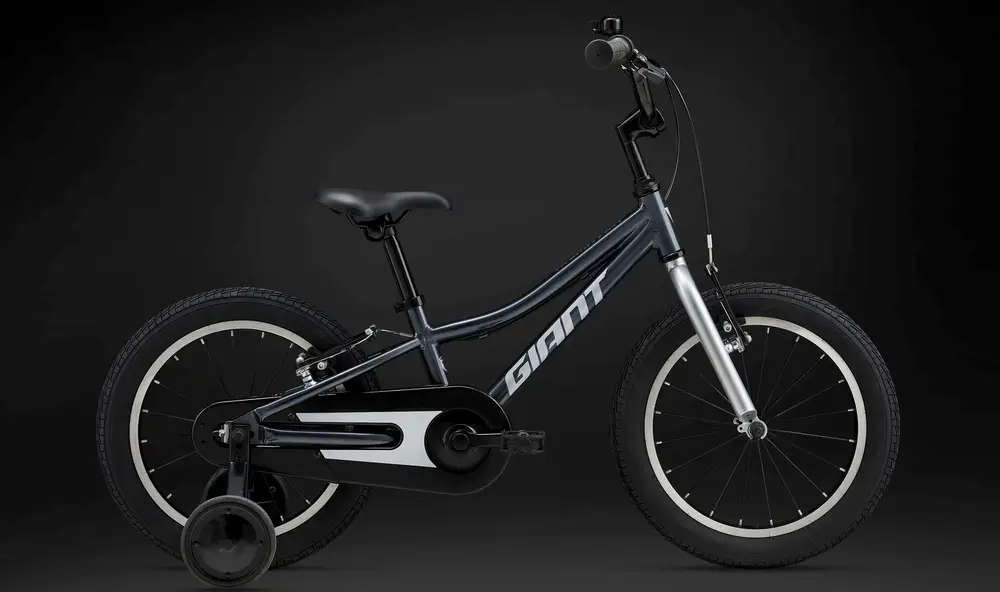 2024 Giant Animator F/W 16 – Specs, Comparisons, Reviews – 99 Spokes